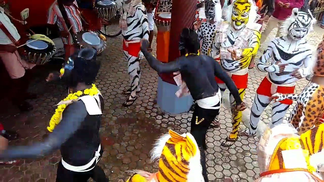 Amazing black Tiger dance pili dance - YouTube