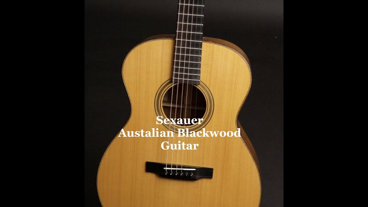 Bruce Sexauer 2015 FT 15 Guitar at Guitar Gallery - YouTube