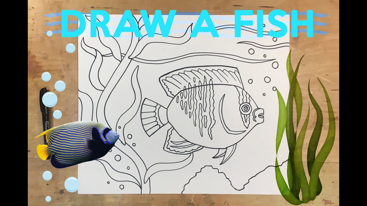 How to Draw a Fish - YouTube