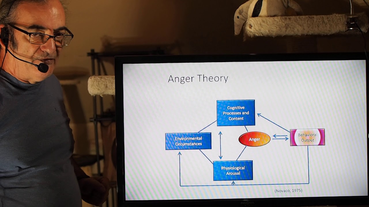 Psych 2367 5 1 Measuring Anger and Provocation Novaco - YouTube