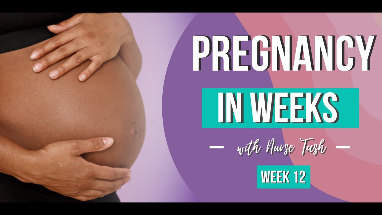 PREGNANCY IN WEEKS 12┃ WEEK-BY-WEEK┃WEEK 12 OF PREGNANCY┃With Nurse ...
