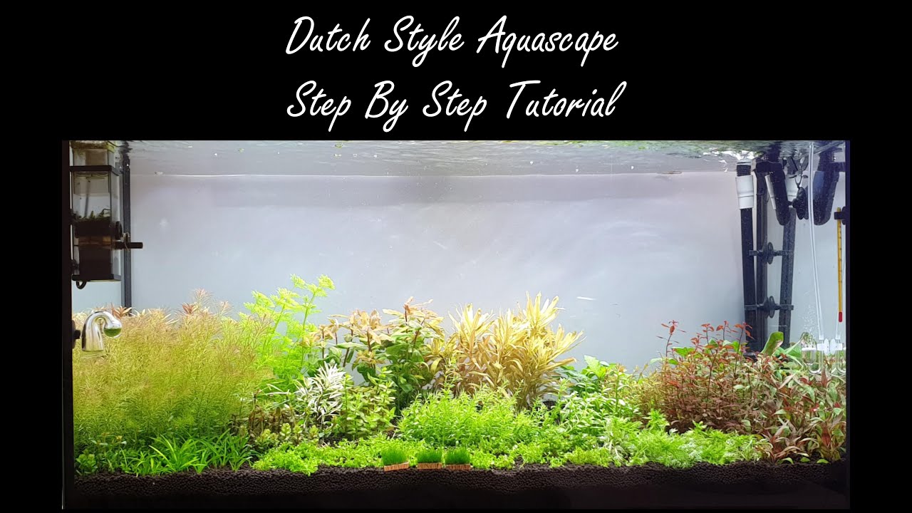 Dutch Style Aquascape: 200l Step By Step Planted Tank Tutorial - YouTube