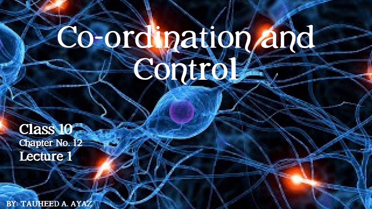 COORDINATION AND CONTROL || Introduction and Types of Coordination ...