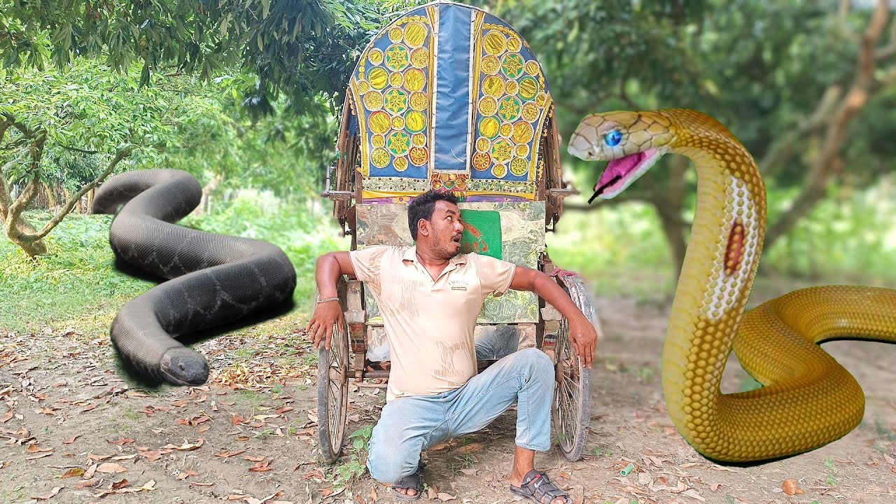 Anaconda snake || 45 in Real Life HD Video || Snake || anaconda || big ...