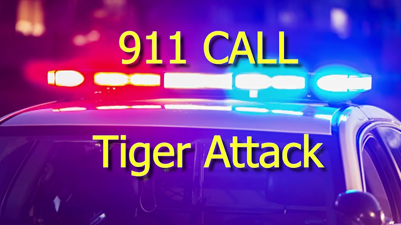 911 tiger attack call - YouTube