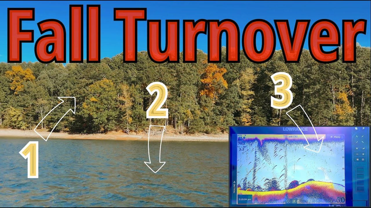 3 Clues to SPOT Fall Turnover EARLY! - YouTube