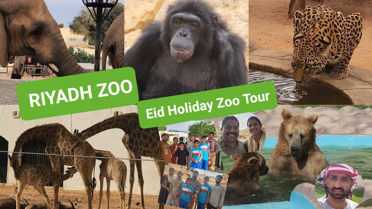 Riyadh Zoo Tour|Eid Holiday Family Tour Program in Riyad Zoo #riyadh # ...