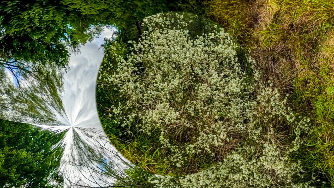 Nature flips the things I see. - YouTube