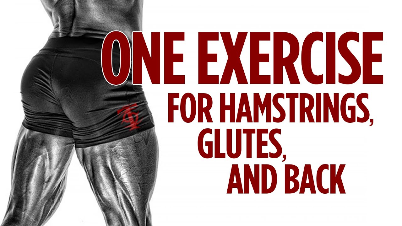 One Exercise for Hamstrings, Glutes, and Back - YouTube