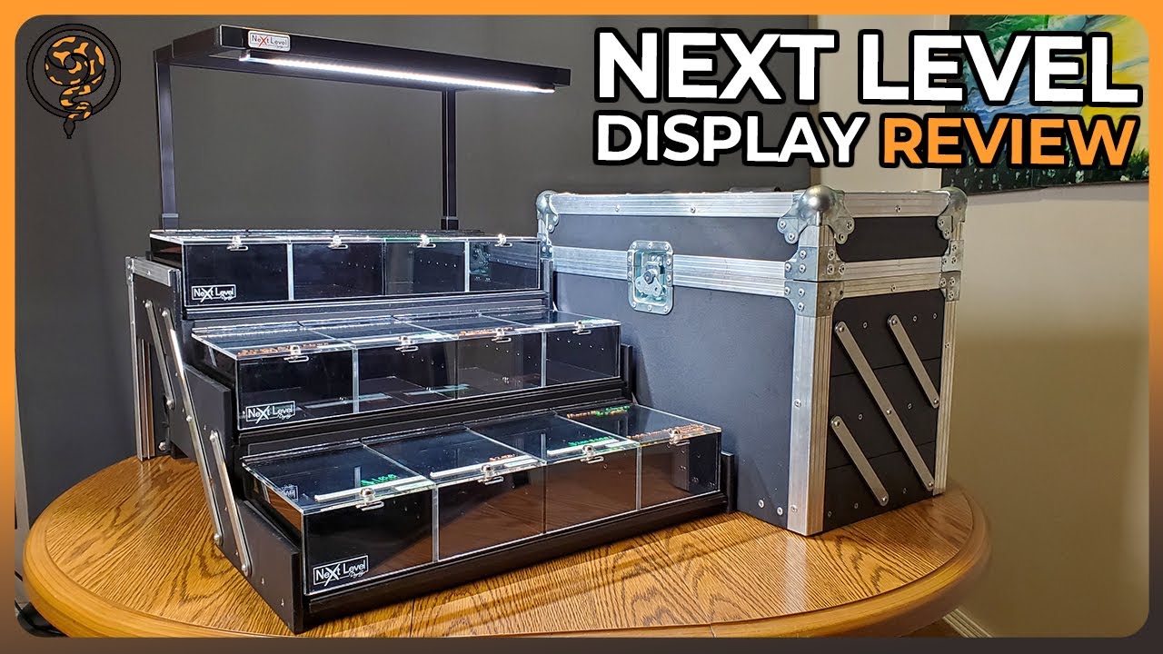 Is Next Level Worth it? - Reptile Display Case Review 2024! - YouTube