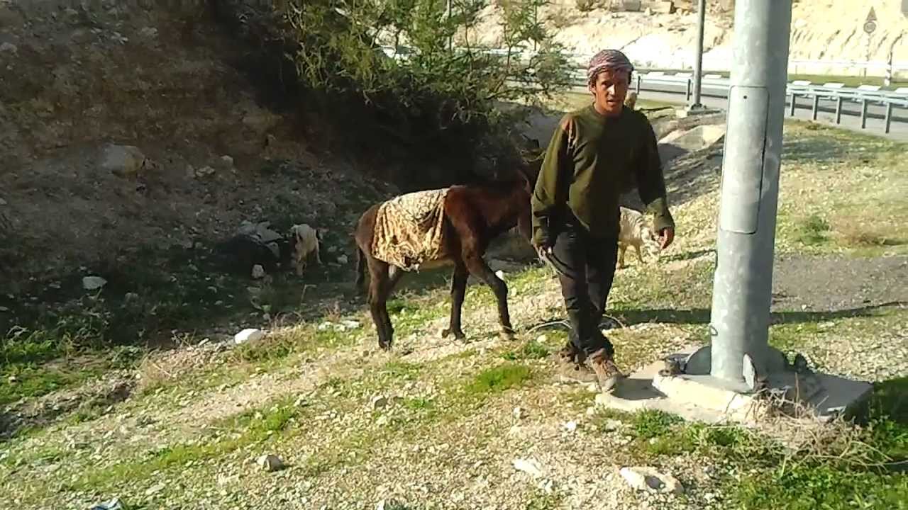 Shepherd in the Judean Desert - YouTube
