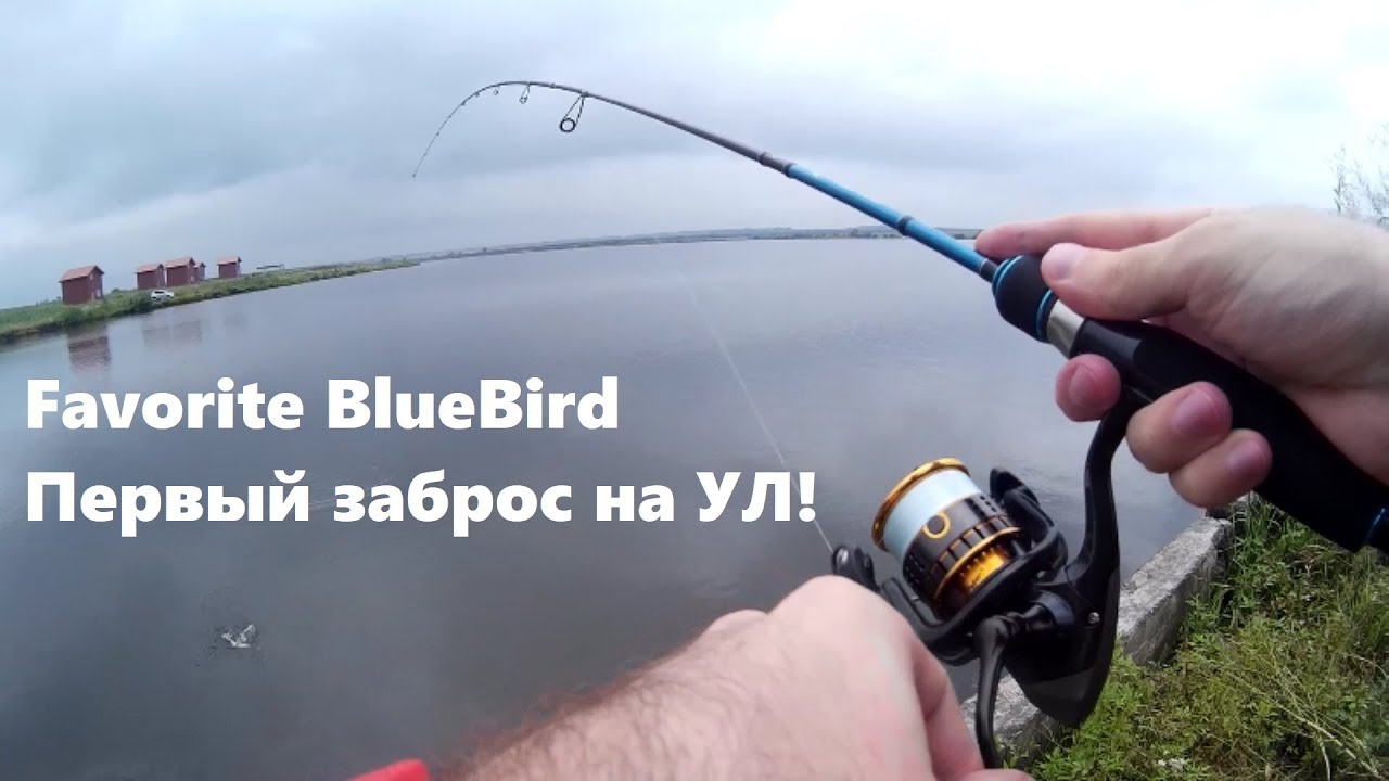 Первые шаги в ультралайте с Favorite BlueBird - YouTube