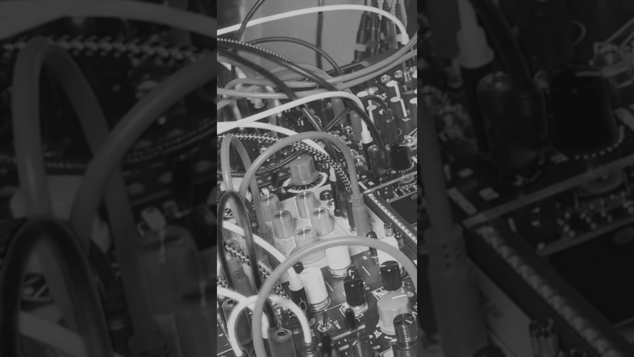 Sequential Switch rhythm #modularsynth - YouTube