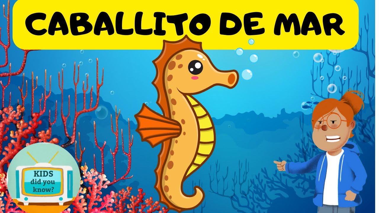 Curiosidades de los CABALLITOS DE MAR 🌊🐴 Videos educativos para NIÑOS 😊 ...