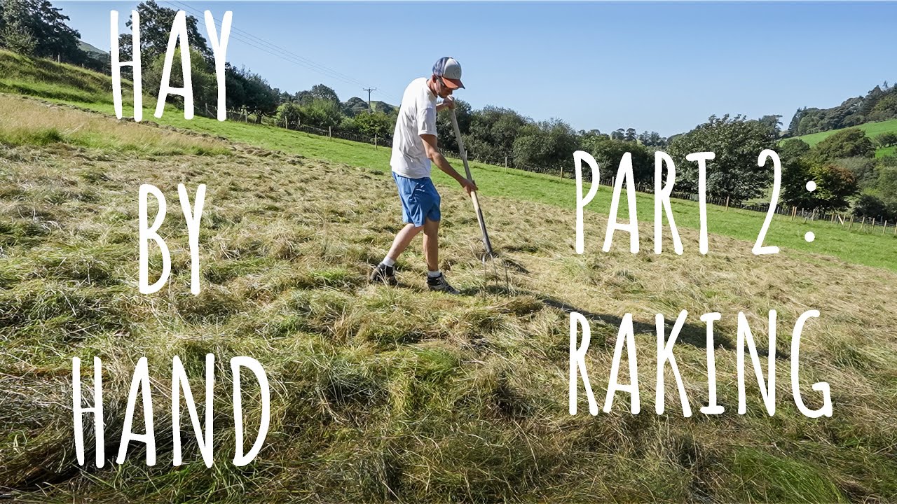 Hay Making By Hand - Part 2 Raking 2023 - YouTube