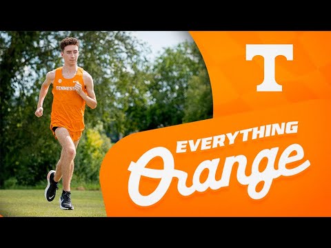 Everything Orange | Dean Casey - YouTube