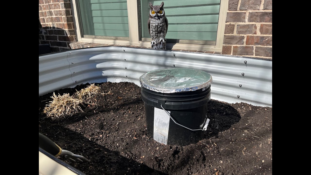 The Worms Will Thank You - YouTube