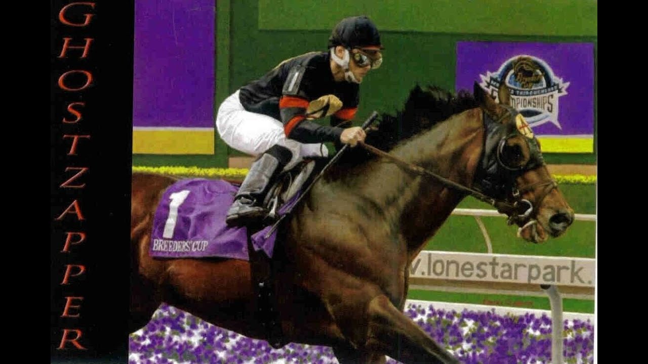 Speed King Proclaims? "Flightline Is No GHOSTZAPPER" Breeders Cup ...