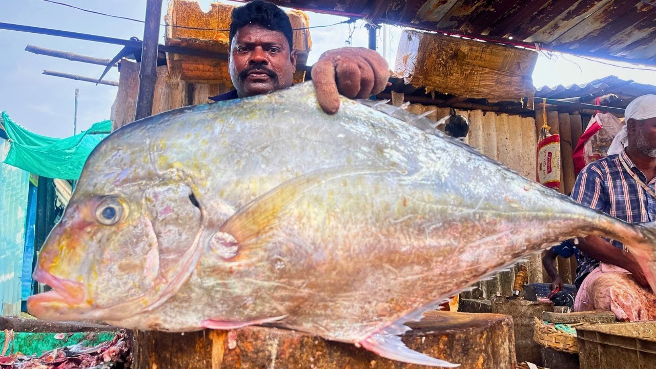 KASIMEDU SELVAM DIAMOND TREVALLY FISH CUTTING VIDEO | UK SONS MARINE ...