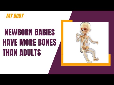 BABIES BONES #bone #baby #skeleton #health #comparison #body - YouTube