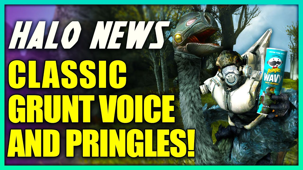 Classic Grunt Voice Returns in Halo Infinite! Halo TV Show Warthog and ...