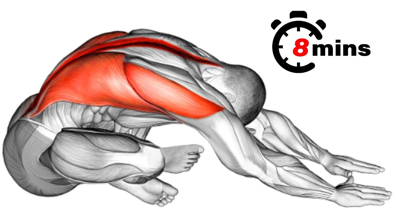 Back Exercises In 8 Minutes A Day! | Let's Get Fit - YouTube