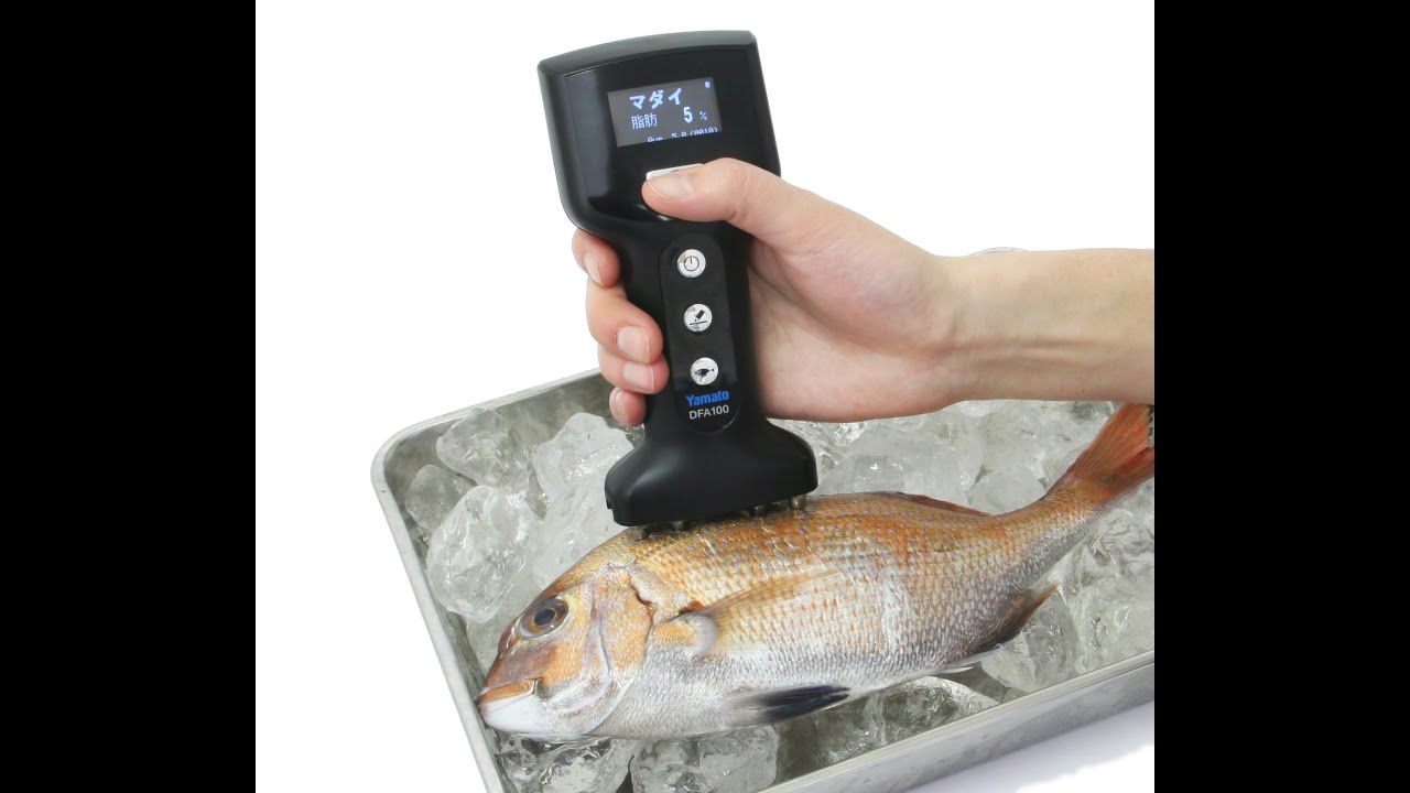 Measure Fish Fat Percentage & Fish Freshness: Fish Analyzer - YouTube