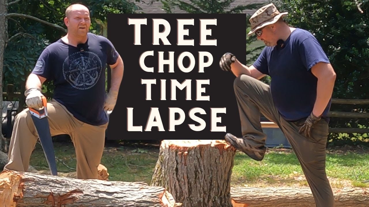 1 Hour Tree Chopping Time Lapse - YouTube