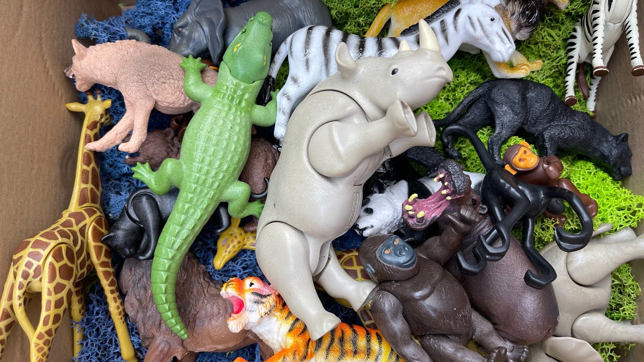 Secret animals box safari wild animals learn - YouTube