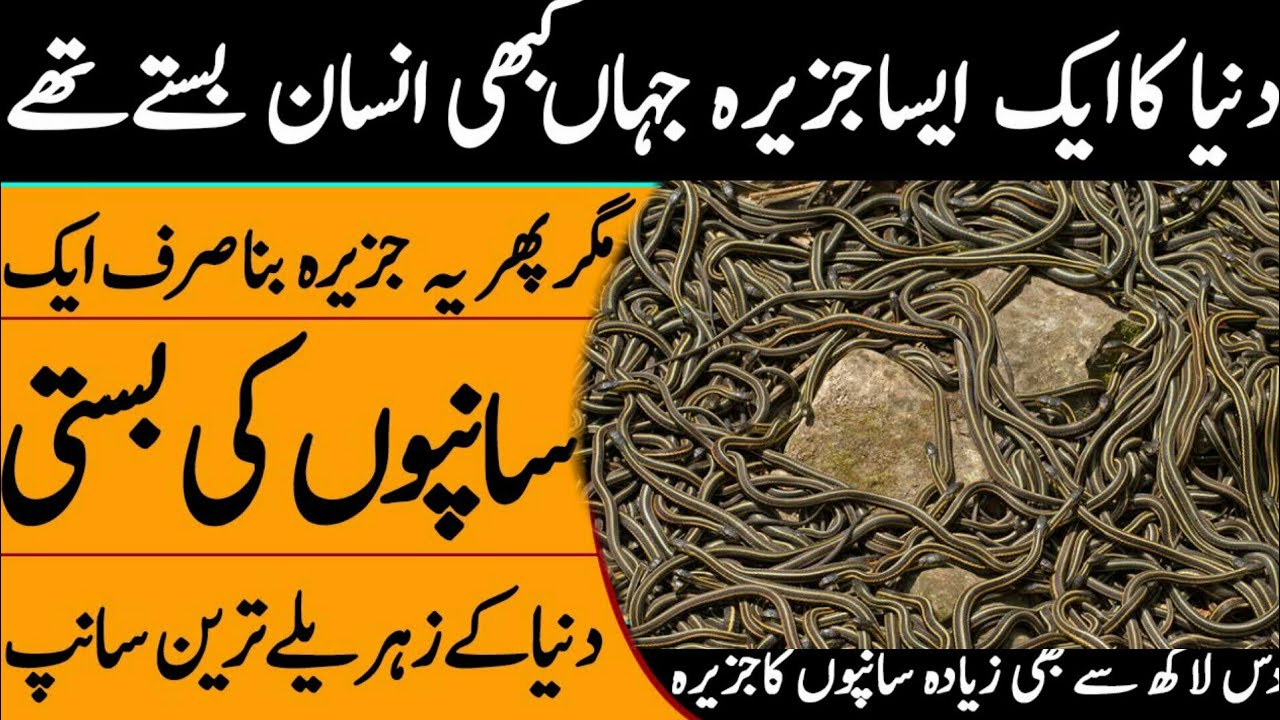 Ek asa Jazeera Ja insan nhi balke saamp rahte hain ||snack Iceland ...