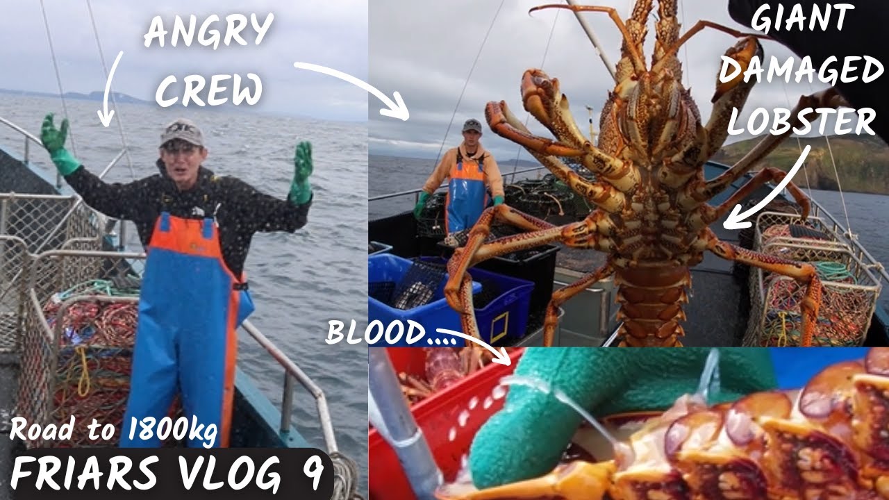 Angry crew! and Big lobster bleeding, can't keep him! -- Friars fishing ...