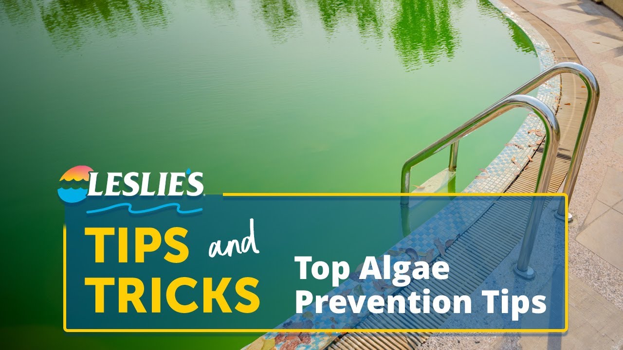 Tips & Tricks: Top Algae Prevention Tips | Leslie's - YouTube