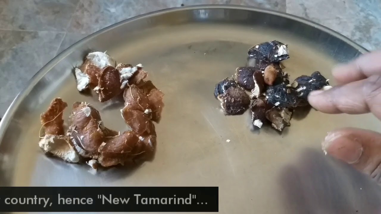 Cleaning and Storing -Tamarind - New & Old - Tamarind History - பழைய ...