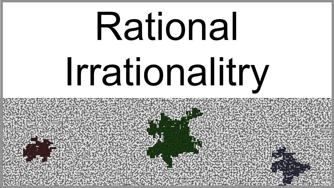 Ep18. Rational Irrationality - YouTube