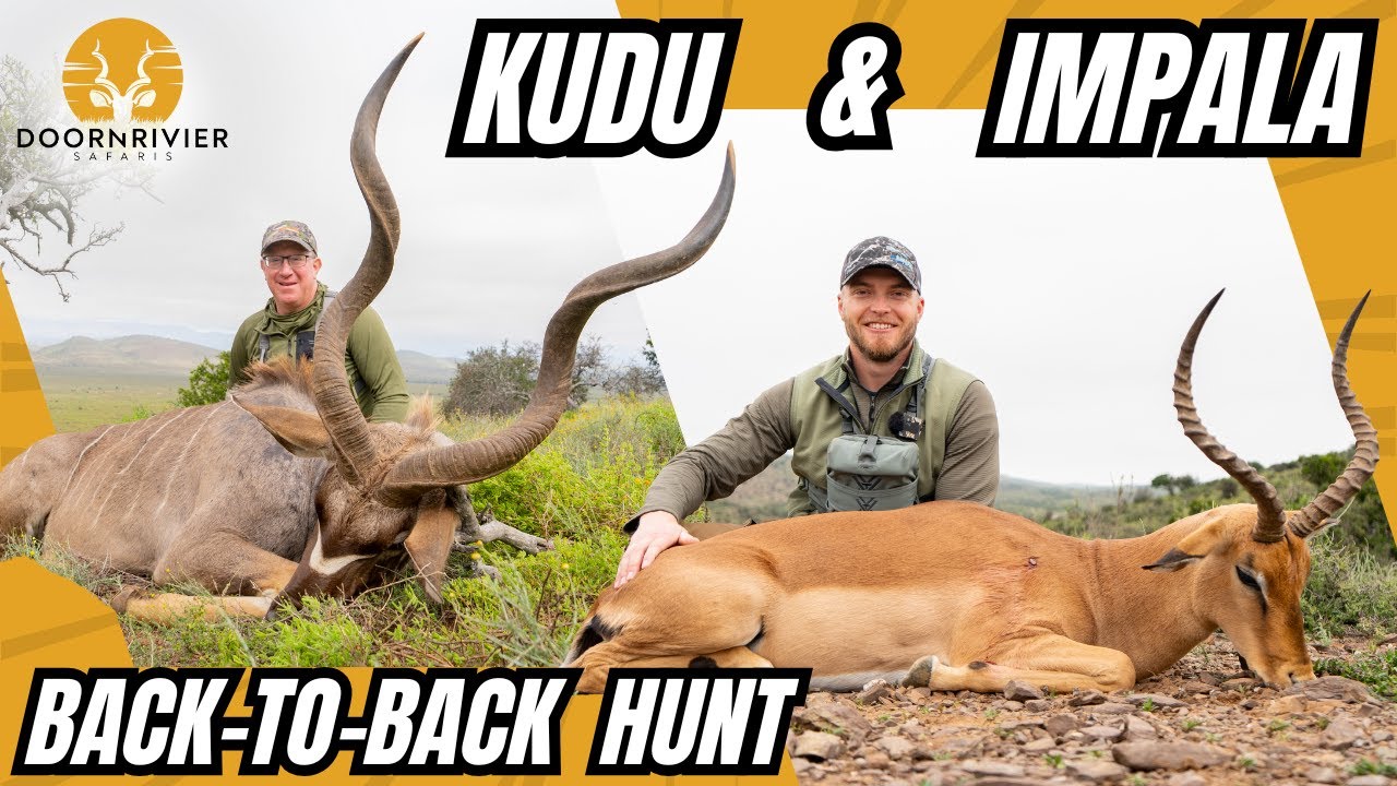 Impala and Kudu back-to-back hunts in South Africa with Doornrivier ...
