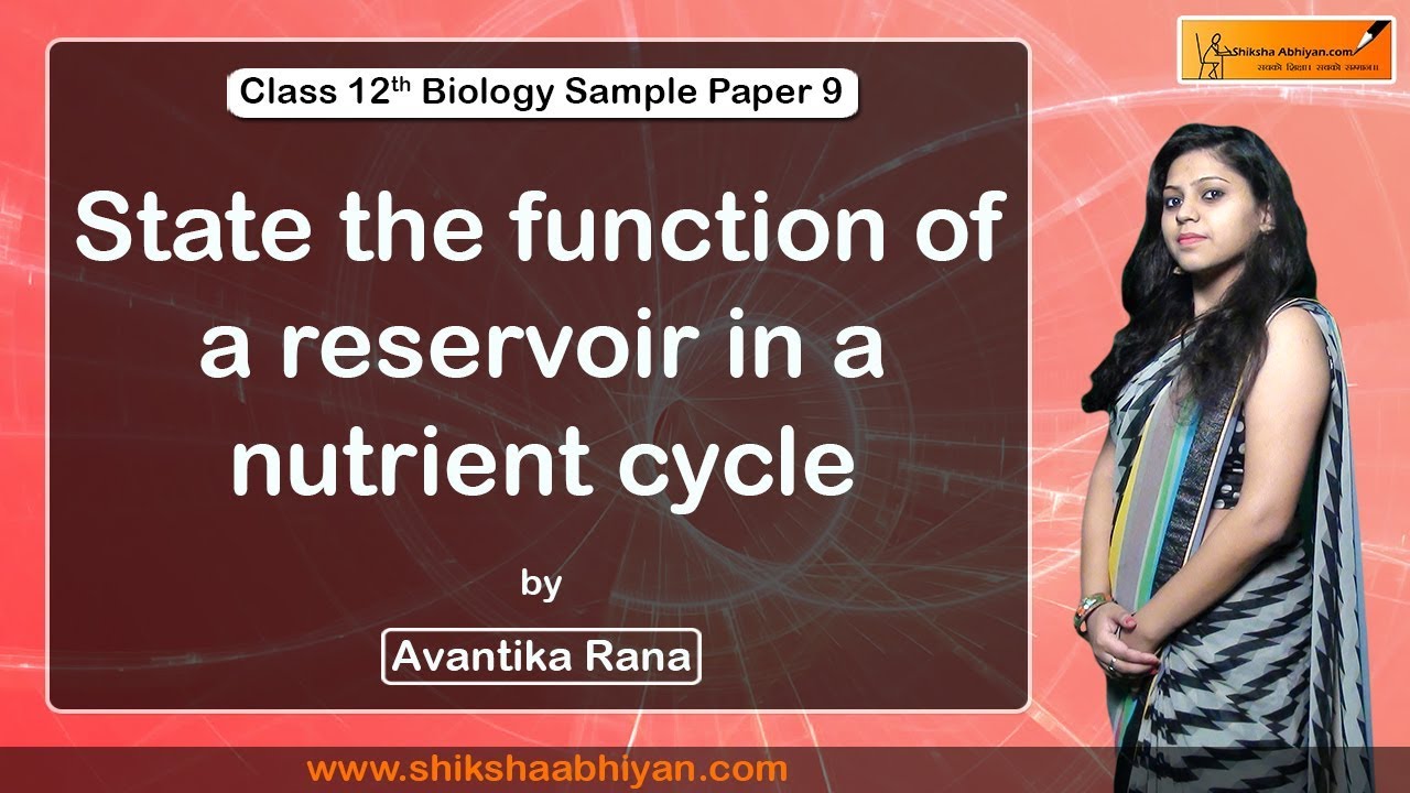 Q26 State the function of a reservoir in a nutrient cycle - #CBSE Class ...