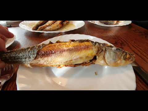 Ribice kod domaćice - YouTube