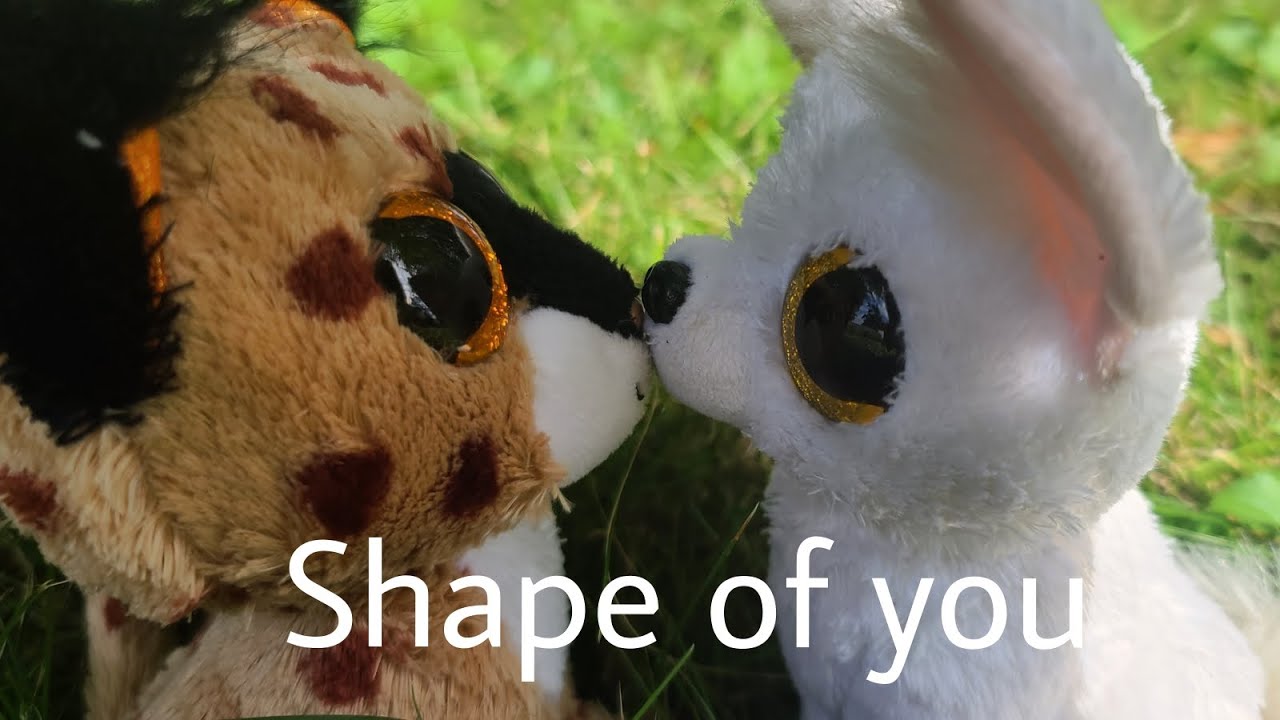 Shape of you, music video by ( Ed Sheeran) - YouTube