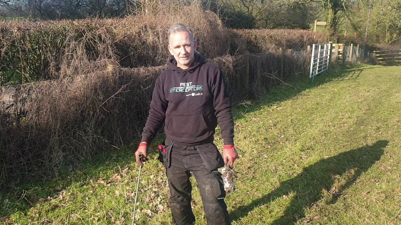 How to set a mole duffus tunnel trap, demonstrated by a duffus! - YouTube