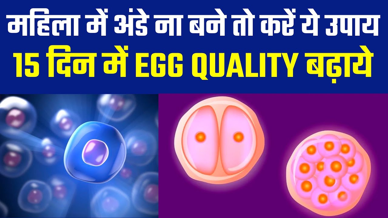 महिलाओ में अंडे ना बनने के कारण, इलाज और उपाय | Mahila me ande badhane ...