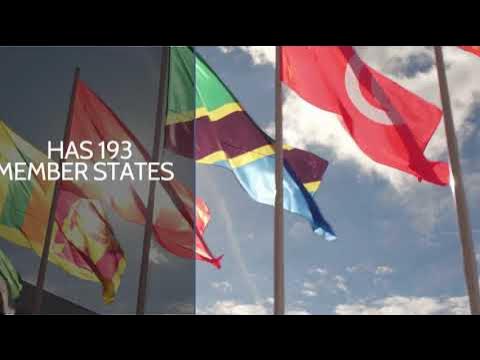 The World Government - United Nations (Grade 6) - YouTube