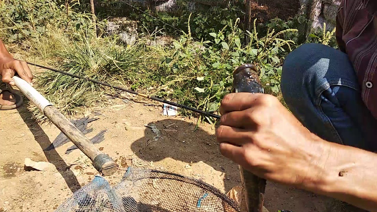 Mancing Mania Mantap keren - YouTube