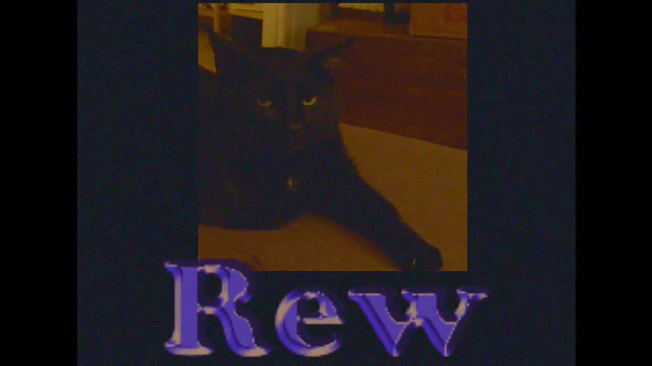 Rew - hurt - YouTube