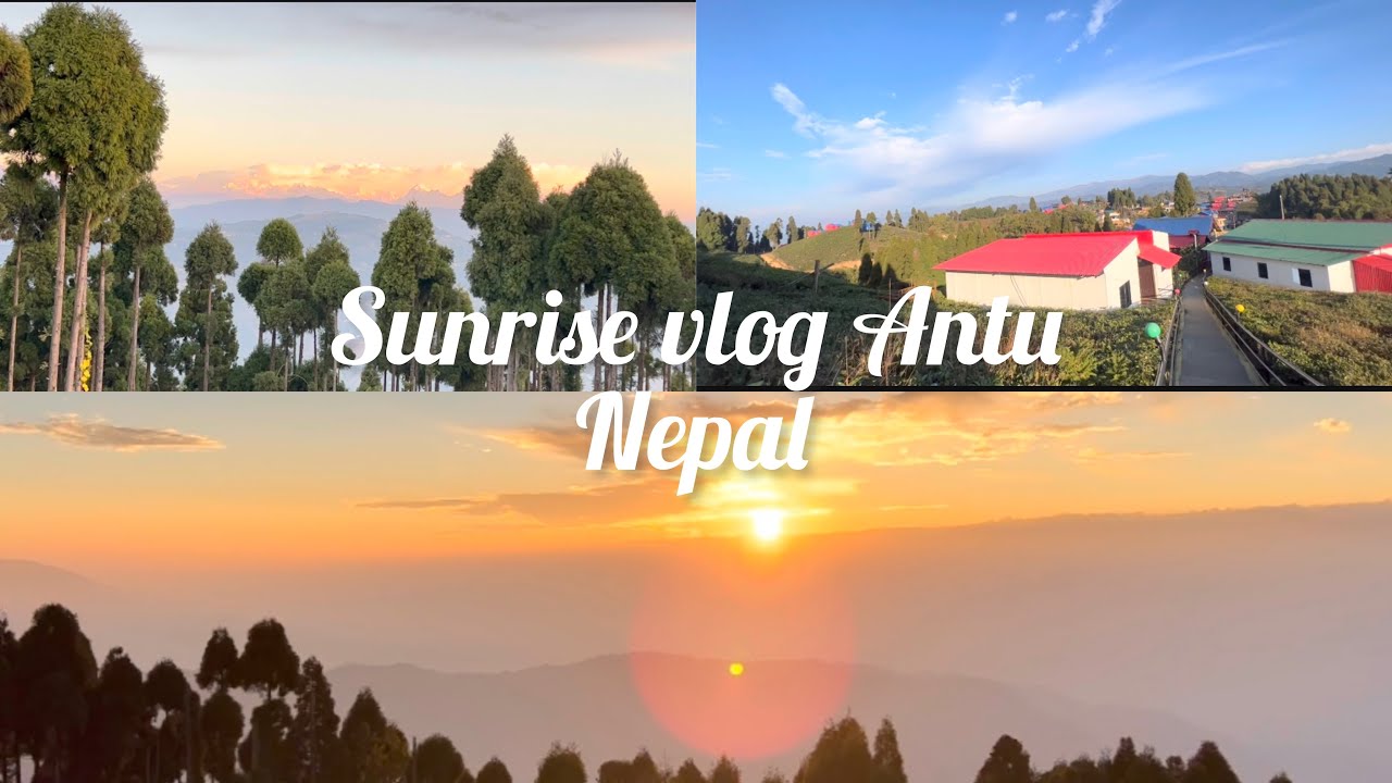 Sunrise || shree Antu || Kanyam || Ilam Nepal || part2 #nepalivlog ...