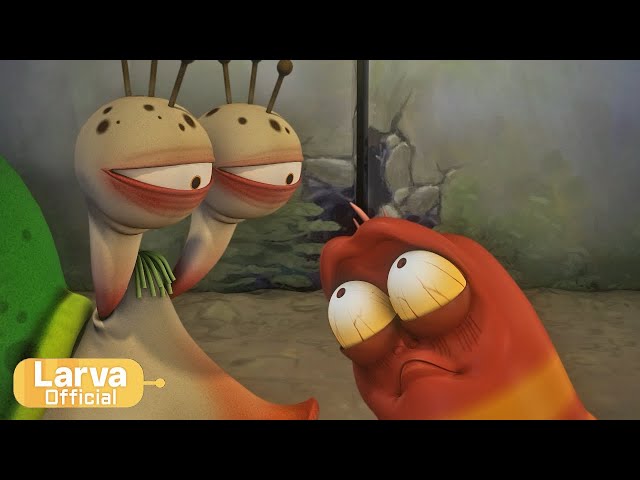 Look into my eyes | Animation Compilation | Larva Tuba | Official ...