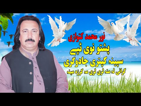 Noor Mohammad Katawazai Tapay 2022 HD - Spiney Kauntare Jadu Gary Garany.Pashto new Tapay پشتو تپی ۔