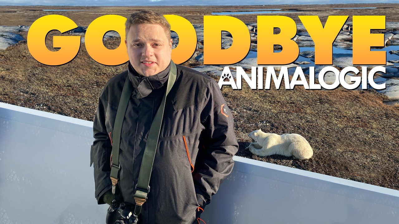Saying Goodbye To Animalogic After Creating It 10 Years Ago - YouTube