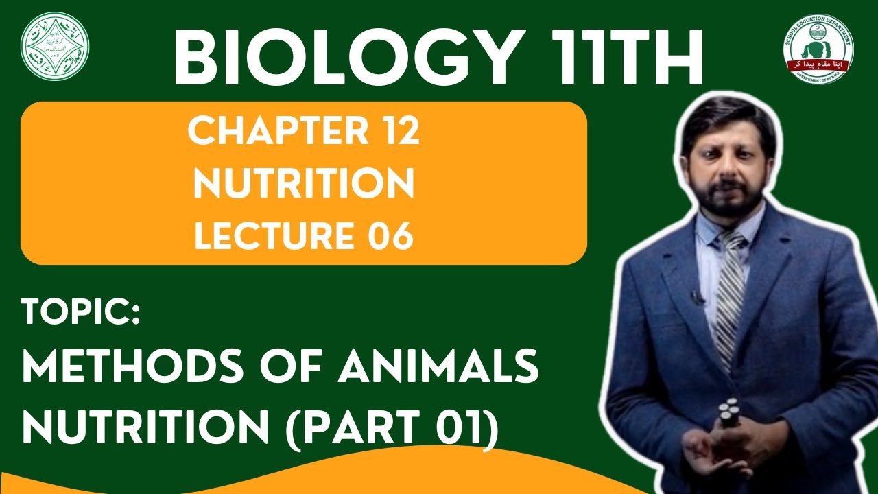 Methods of animals nutrition (Part 01) | Grade 11 Biology | LECTURE 06 ...