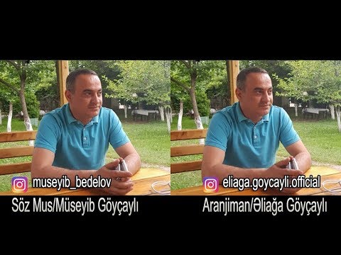 Sen gedən karvanın sahibi ölsün / Müseyib Göyçaylı