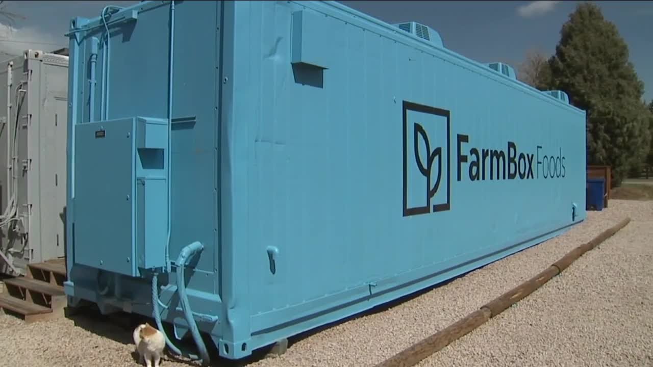 FarmBox Foods — IGrow Pre-Owned-Shipping Container Farm, 56% OFF